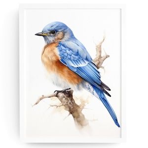 Creative Path Studios | Art | Watercolor Eastern Bluebird Wall Art ...
